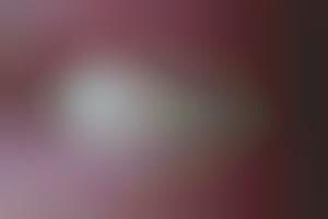 In-Mouth Tracking Wearables : Tooth-Mounted Sensor