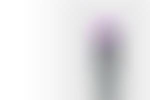 Chromatic Brow Gels : brow gels