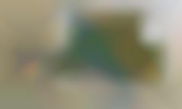 River-Focused AR Experiences : WWF Free Rivers