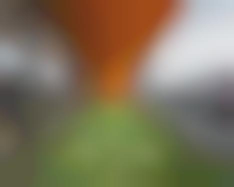 Field-Integrated Fitness Spaces : fitness space