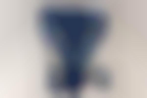 Smart Pilot Safety Goggles : SAVED Goggles