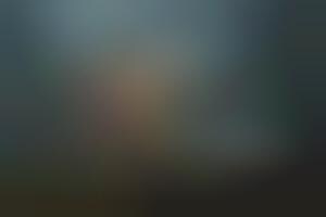 Fully-Stocked Van Houses : outside van powerstation