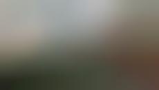 Experience-Enhancing Urban Street Projects : urban street project