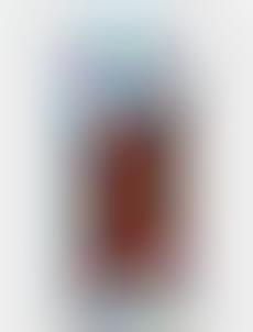 Chocolate-Flavored Blowing Bubbles : Candylicious Bubbles Chocolate Bunny