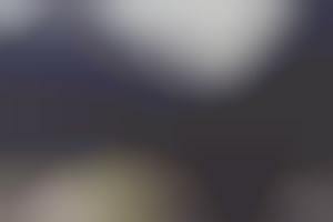 Climatic Vertical Universities : vertical university