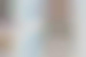 Universal Translation Apps : earthchat