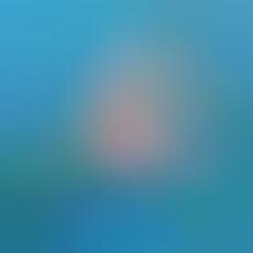 Inflatable Donut Pool Games : Donut Ring Toss