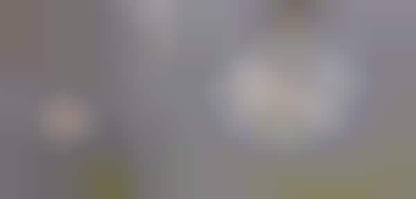 Custom LED Light Bulbs : Custom LED light bulb