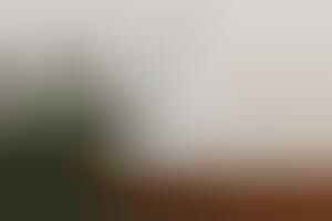 Travel-Friendly Security Systems : Convoy portable security system