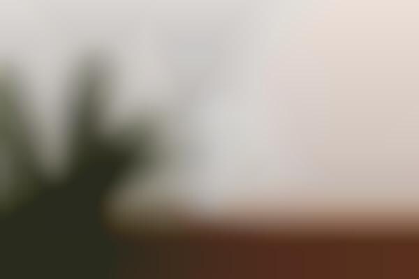 Travel-Friendly Security Systems : Convoy portable security system