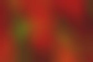 DIY Edible LEGO: How to Create Your Own Brick-Shaped Candy Made of Jell-O