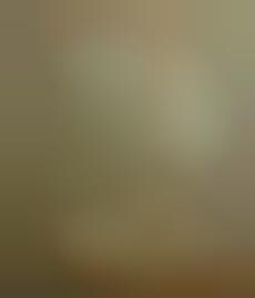 Recycled Windshield Glass: Cracked Up Building Panels for Eco-Friendly ...