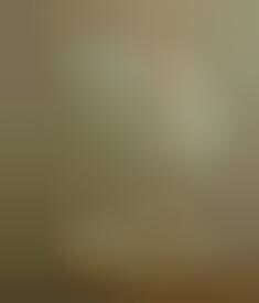 Recycled Windshield Glass: Cracked Up Building Panels for Eco-Friendly ...