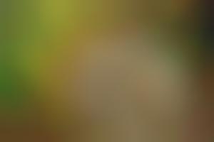 Creepy Bento: Bento Lunchbox Treats Get Scary