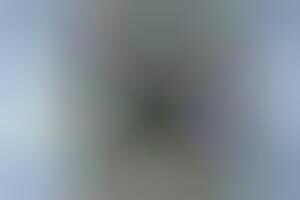 Bug Zappers for Ghosts: Scare Away Spirits with Trisaksri Ghost Repellent