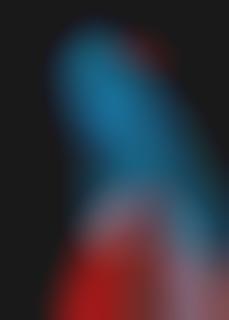 Fashion Animals: 'Betes de Mode' Dramatography Art By French duo HELMO