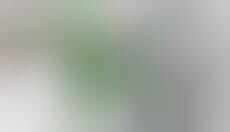 Framed Books as Home Decor: 'Totally Novel Picturebook Frame' Lets You ...