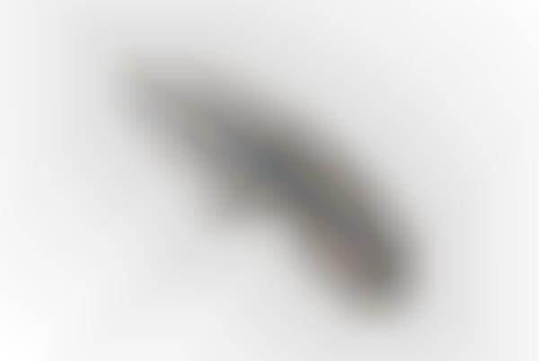 Miniature Titanium Utility Blades : 756 mpr