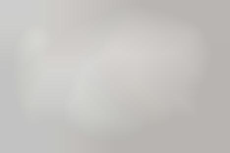 Aquatic Floating Fish Clocks : Goldfish Clock