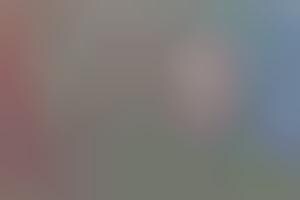 Patterns as a Language : Dominique Pétrin