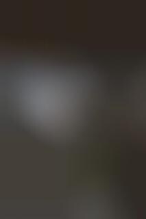 Hyper-Modern Rural Huts : 23o5 studio