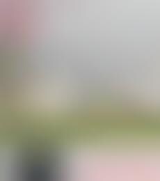 Voice-Controlled Yard Assistants : Yard Assistant