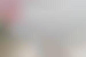 Voice-Controlled Yard Assistants : Yard Assistant