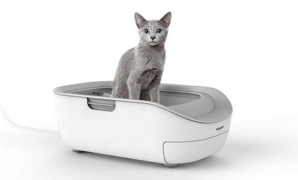 AI-Powered Litter Boxes : Smart Litter Box