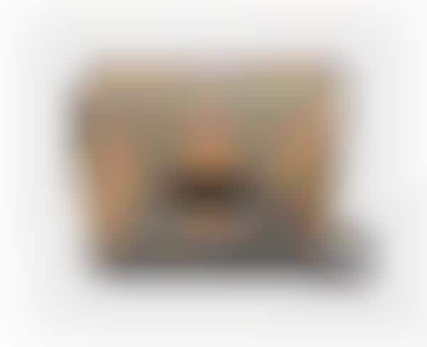 Iconically Branded Mini Purses : d-ring mini bag