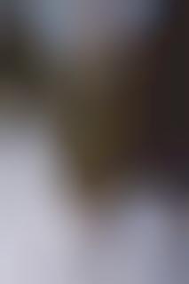 Unconventionally Extravagant Suits : extravagant suit