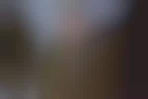 Unconventionally Extravagant Suits : extravagant suit