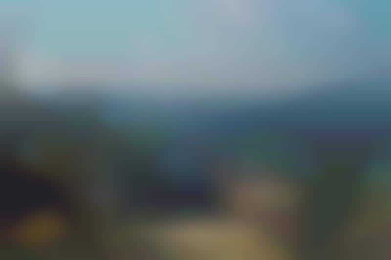 Top 100 Design Trends in July