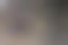 Adaptable Shapeshifting Tires : Reconfigurable Wheel Track