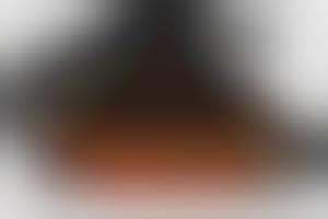 Programmable Five-in-One Cookers : AirGO AP360