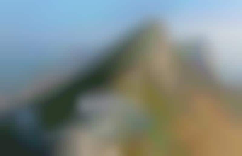 Top 100 Architecture Trends in August