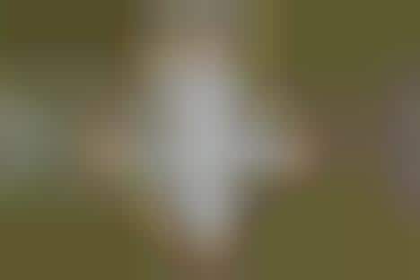 Bamboo-Detailed Green Retail Spaces : green retail space