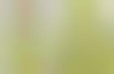 Vibrant Performance Shell Jackets : performance shell jacket