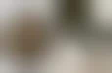 LED-Powered Motorcycle Jackets : Luminous Jacket