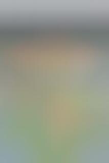 Cheerful Lemony Cafe Interiors : bright cafe