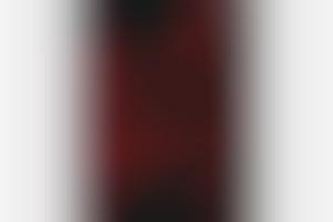 Neo-Punk Fashion Ensembles : Neo-Punk Fashion