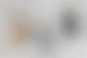 Uncomplicated Scent-Emitting Diffusers : ZEN diffuser