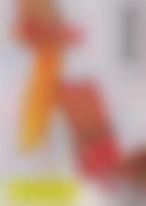 Multifunctional Packaging Designs : Multifunctional Packaging