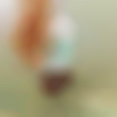 20 Functional Snack Bars