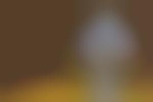 Development-Supporting Storyteller Robots : Codi robot