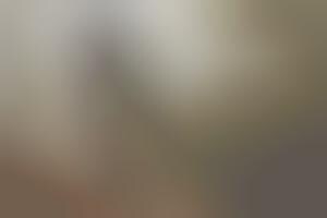 Multifunctional Observation Tower Concepts : viewing tower