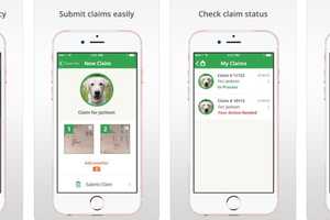 Convenient Pet Insurance Apps : Healthy Paws