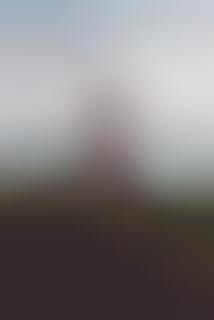 Nature-Inspired Organic Boho Designs : Boho Designs