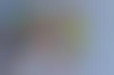 Potato Starch Plastics : Potato Plastic