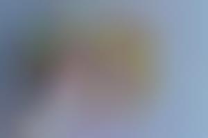 Potato Starch Plastics : Potato Plastic