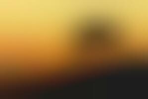 Mosquito-Tracking AIs : Wovenware